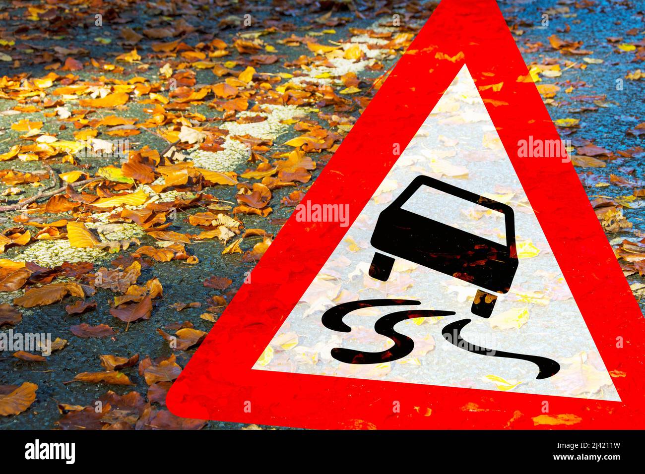 Attention! Danger of slipping due to wet leaves on the roadway Stock ...