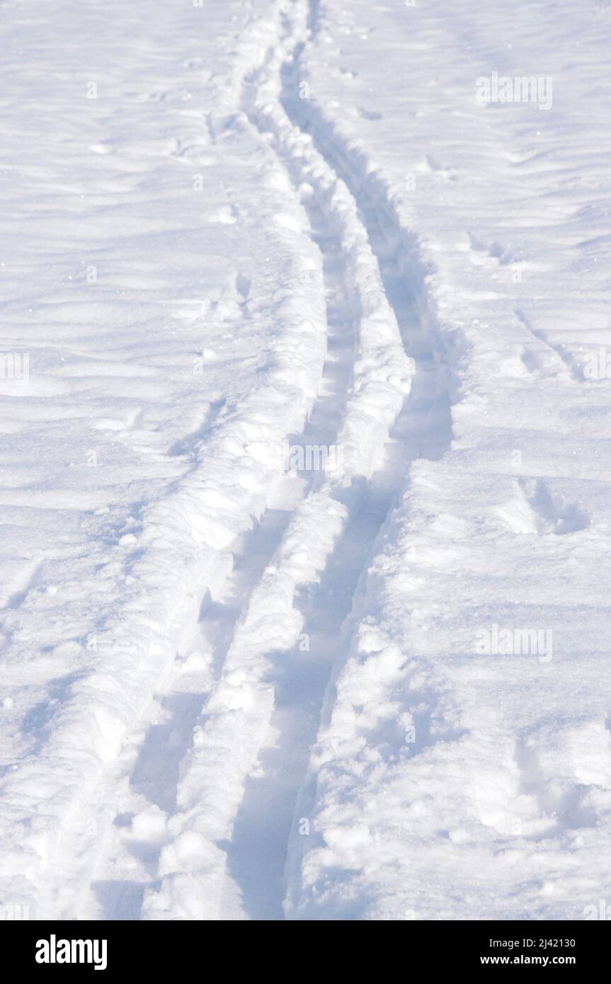 Ski tracks in the snow Stock Photo - Alamy