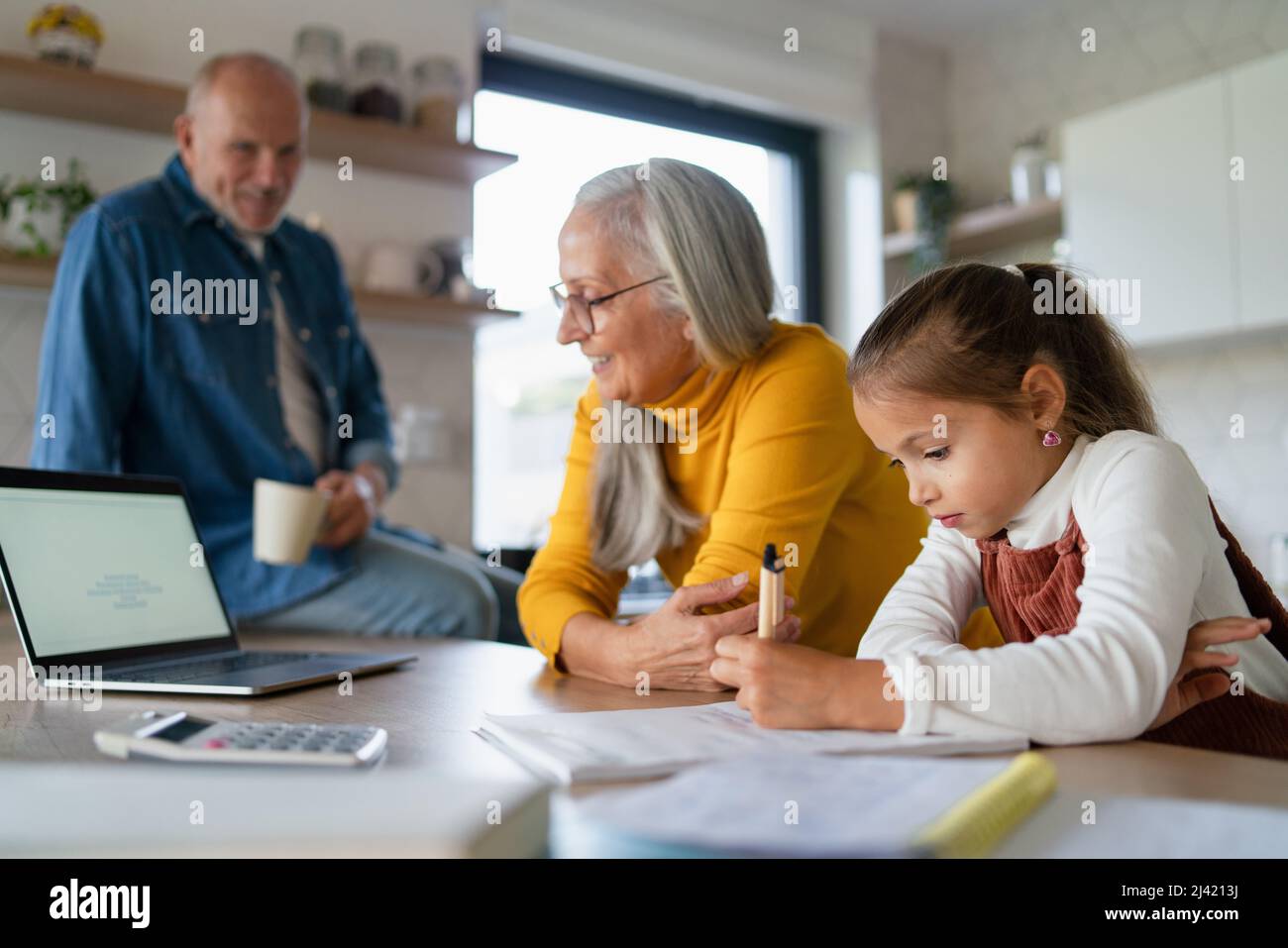 Small girl with senior grandparents doing maths homework at home Stock ...