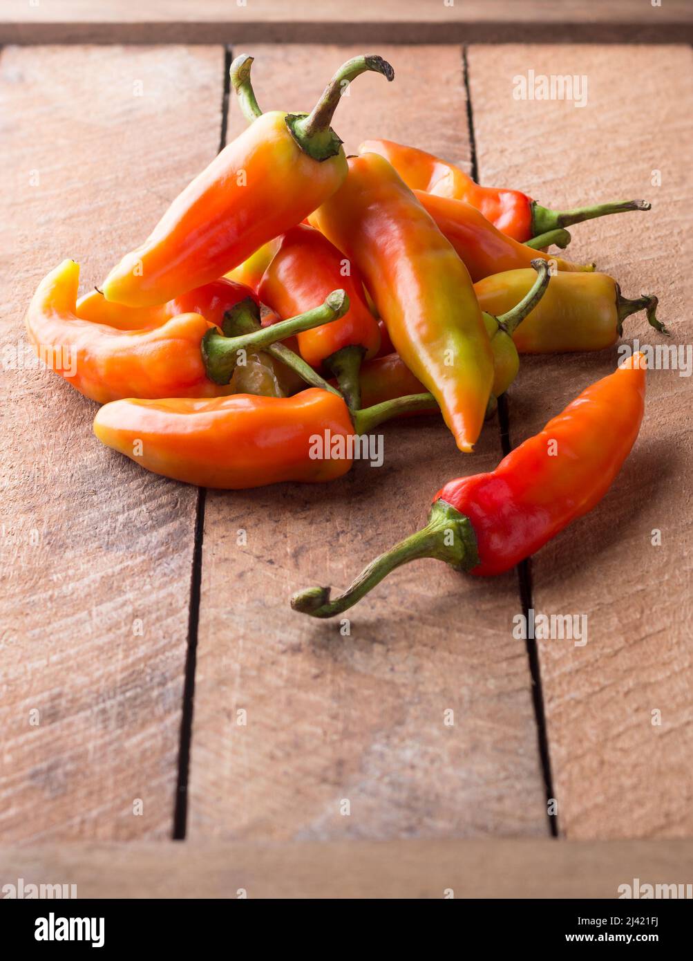 vibrant orange and yellow skin chili peppers, fruity flavored, medium ...
