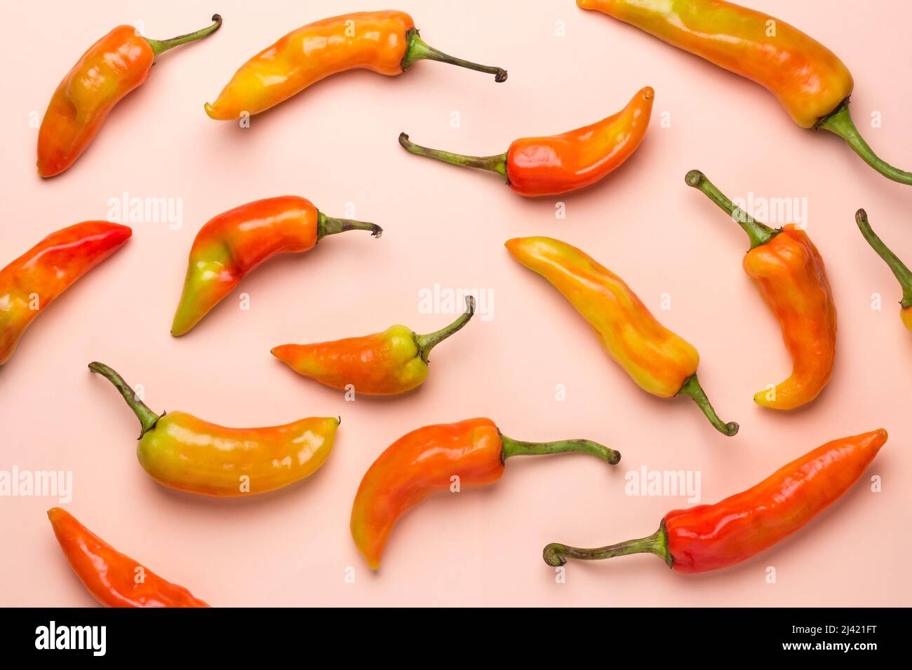 vibrant orange and yellow skin chili peppers pattern, fruit flavored ...