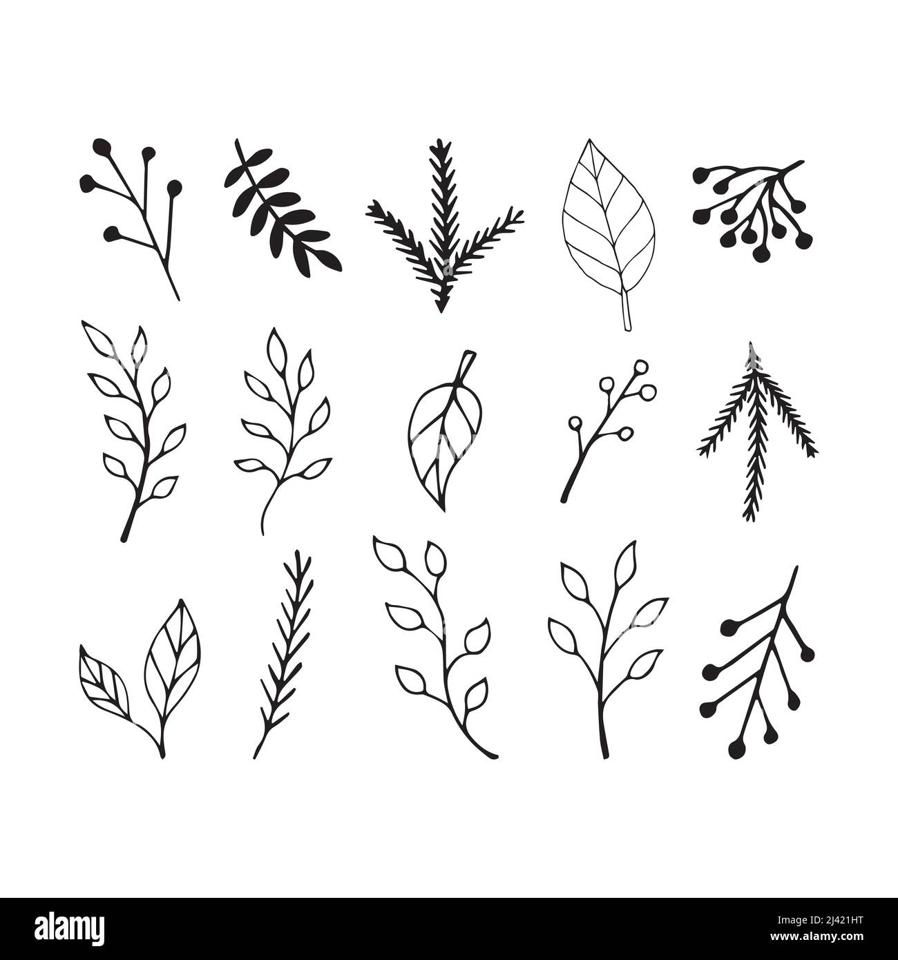 Vector set of hand drawn sketch doodle leaves isolated on white ...