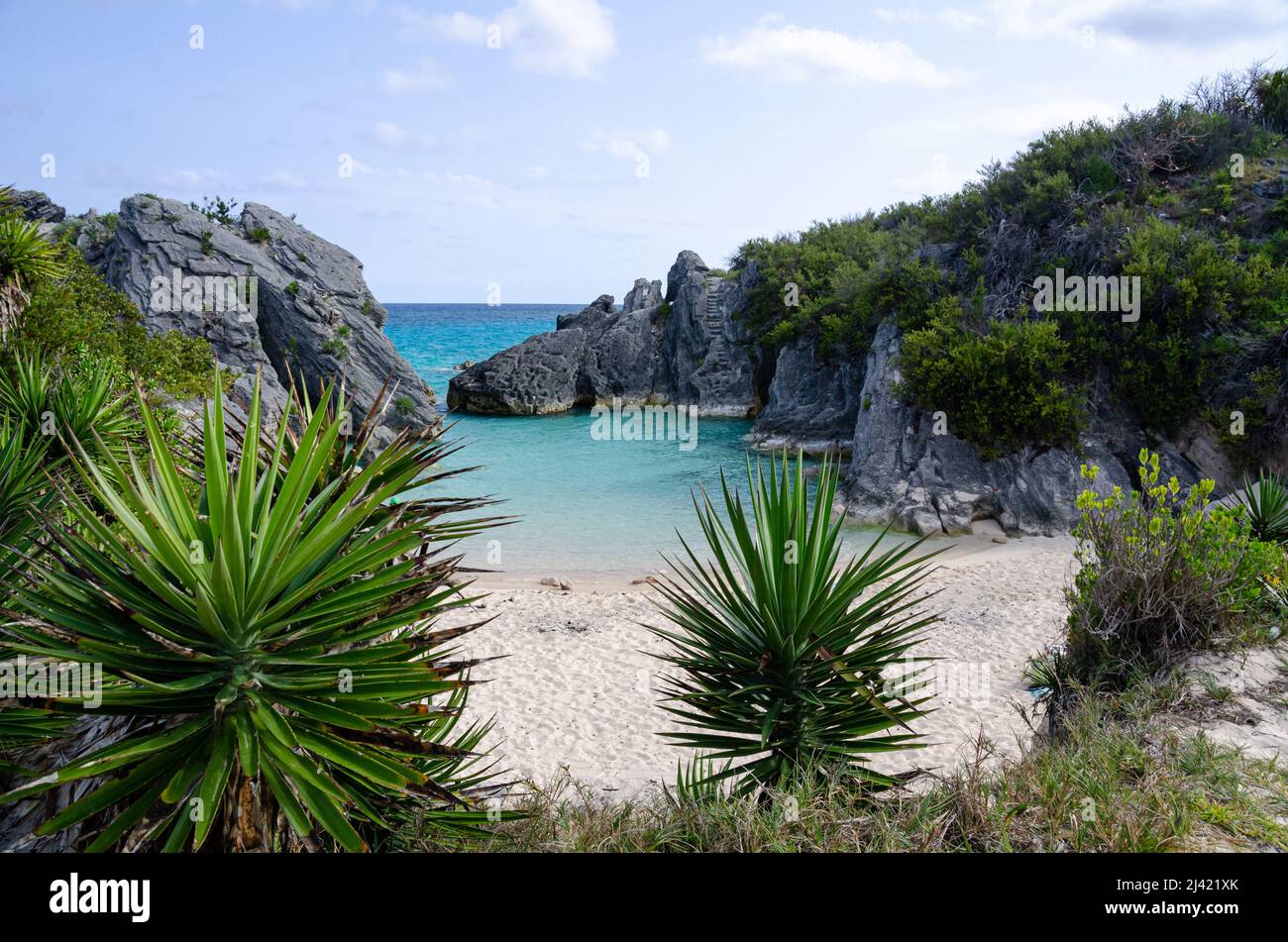 Beach and rock formation at Horseshoe Bay in South of Bermuda Stock ...