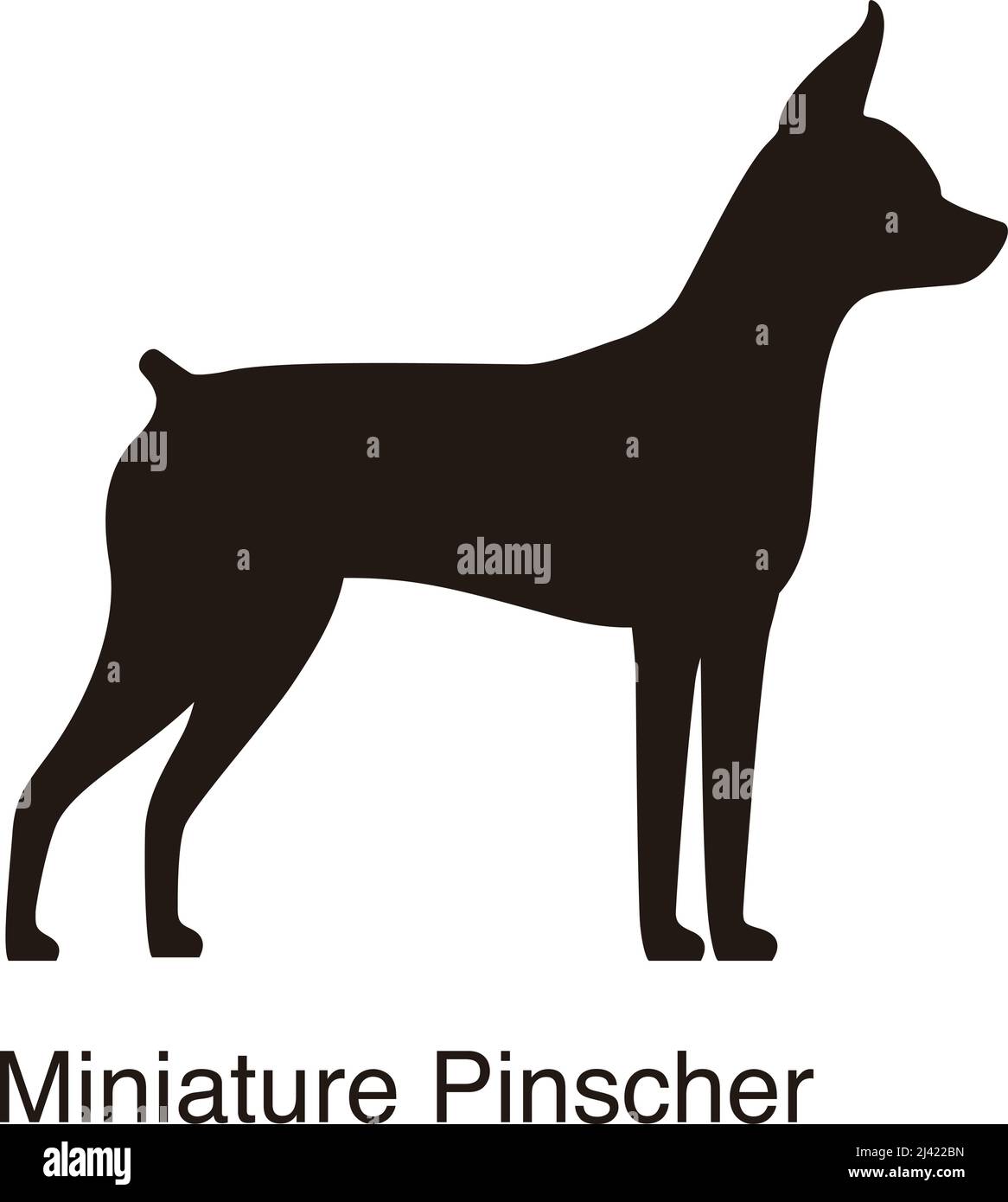Miniature Pinscher dog silhouette, side view, vector illustration Stock ...