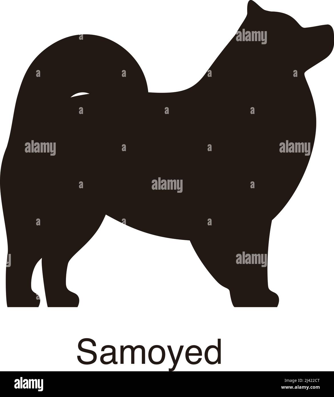 Samoyed dog silhouette, side view, vector illustration Stock Vector ...
