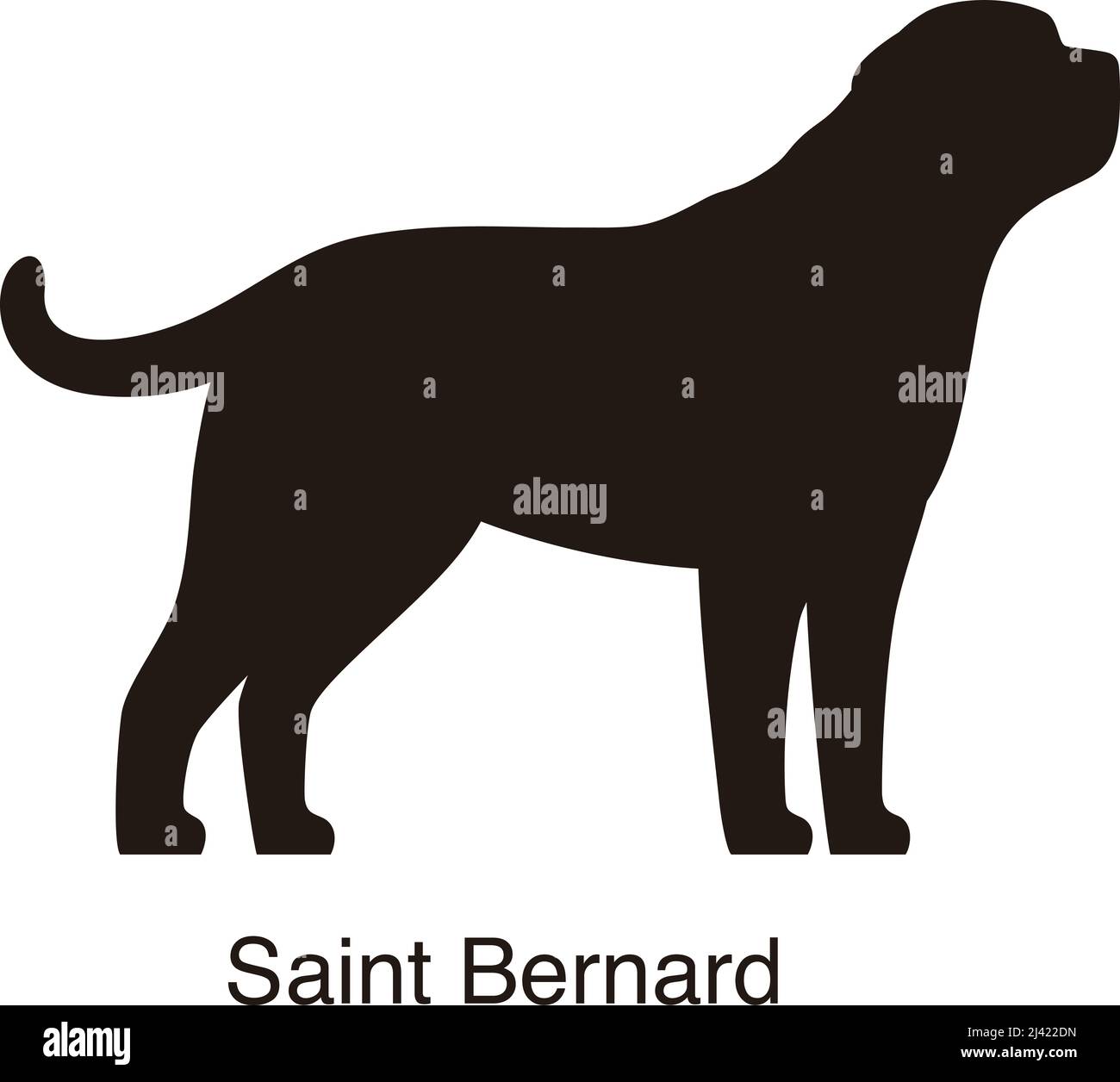 Saint bernard side view Stock Vector Images - Alamy