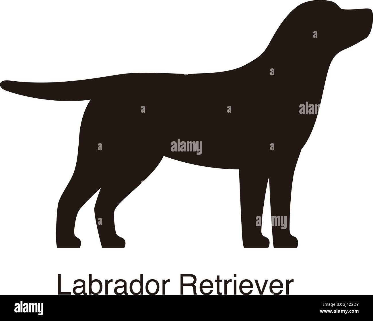 Labrador Retriever dog silhouette, side view, vector illustration Stock ...