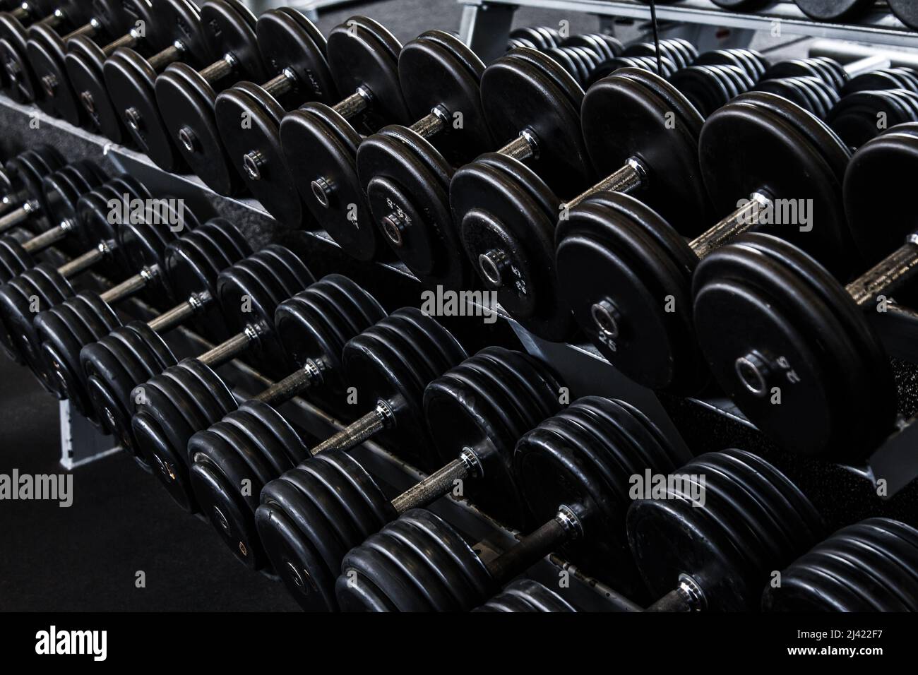 Different black dumbbells in the modern gym Stock Photo - Alamy