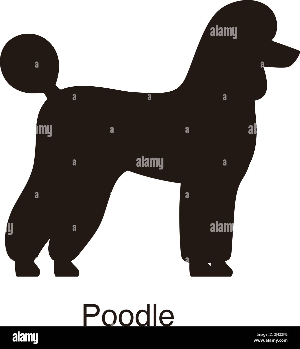 Poodle dog silhouette, side view, vector illustration Stock Vector ...