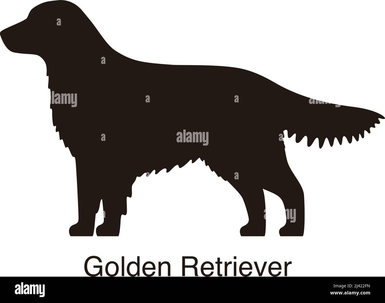 golden retriever dog silhouette, side view, vector illustration Stock ...