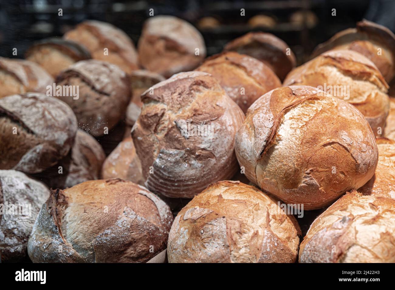 Large loaves of bread on the counter of a bakery Stock Photo - Alamy