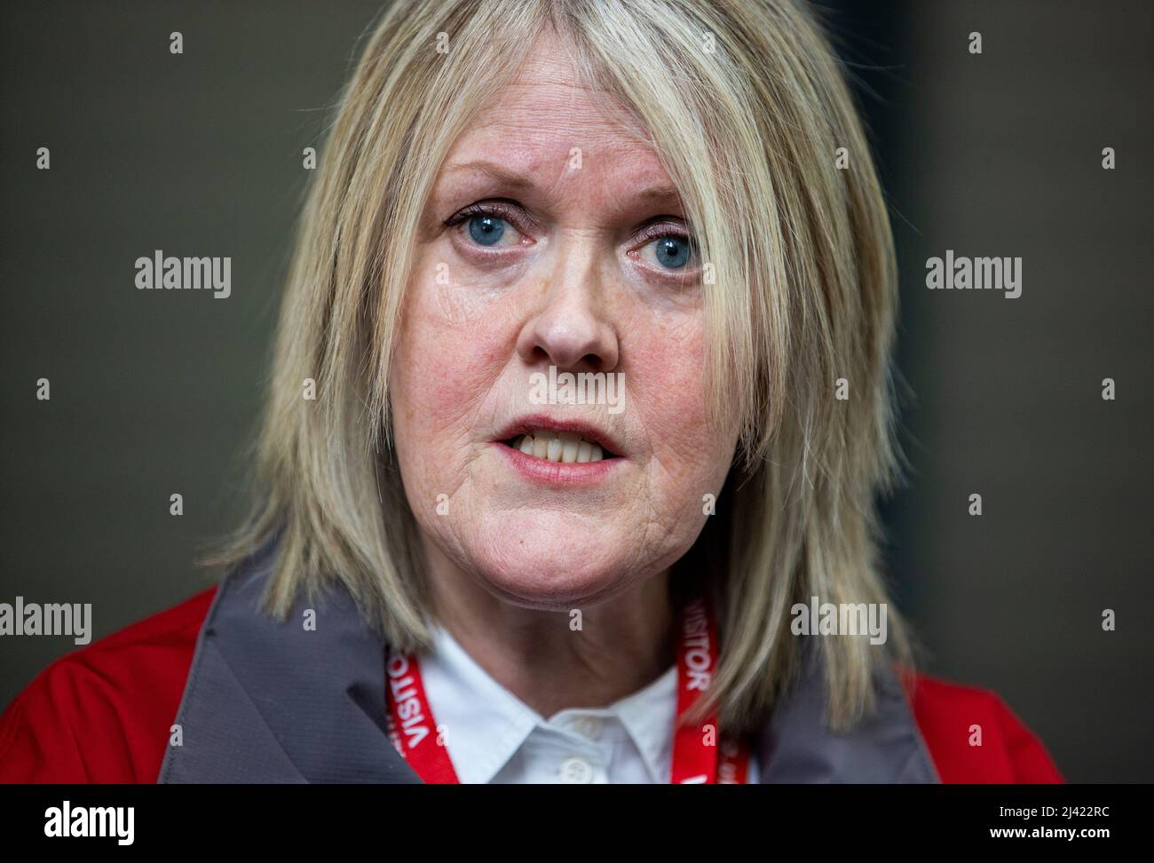 Sharon Sinclair, Director of Red Cross for Northern Ireland, at the ...