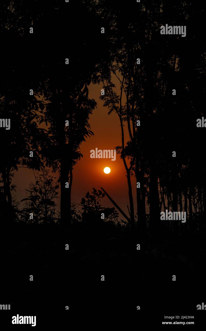 Golden sun hi-res stock photography and images - Alamy