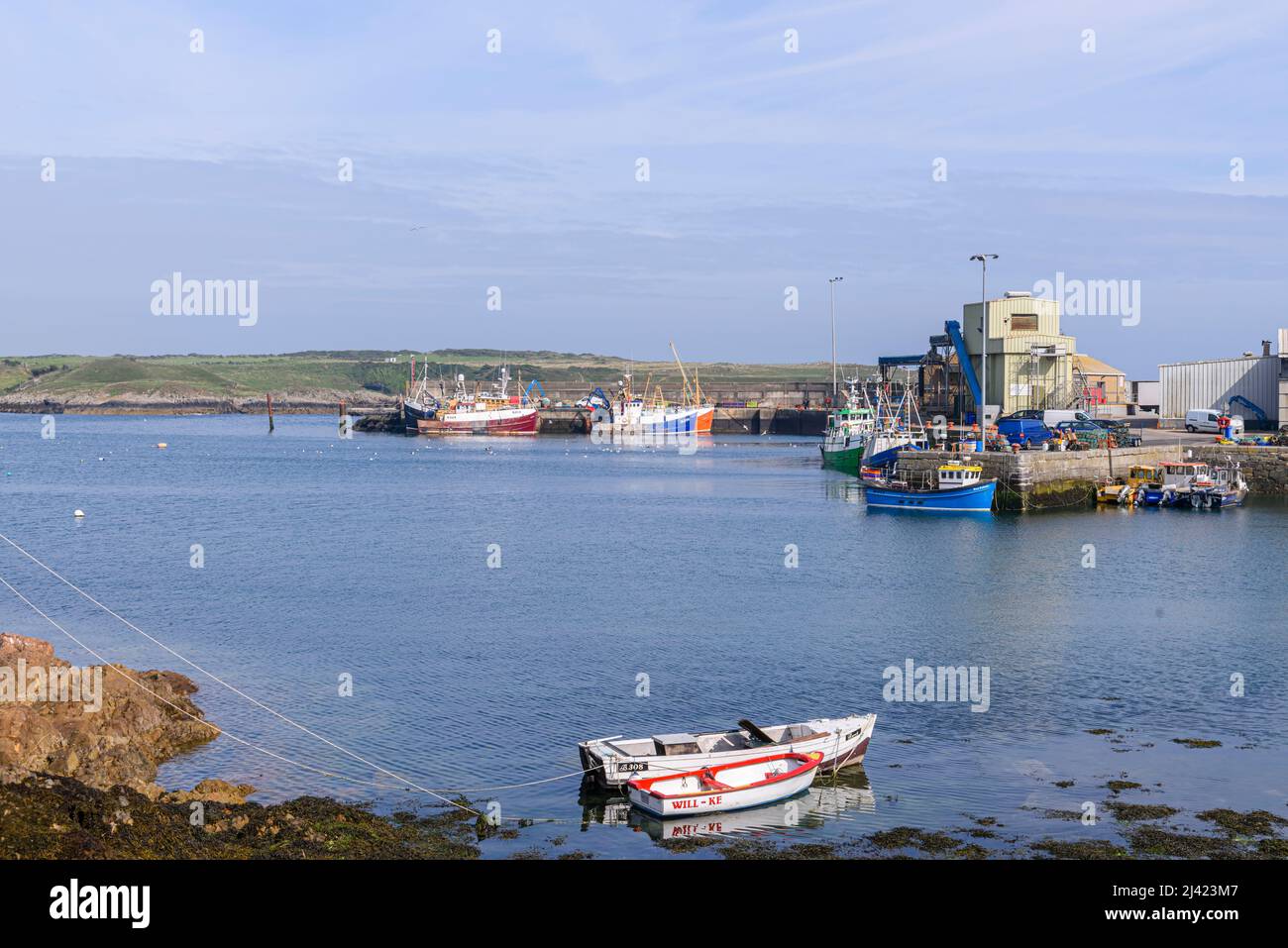 Ardglass harbour, Northern Ireland, United Kingdom, UK Stock Photo - Alamy