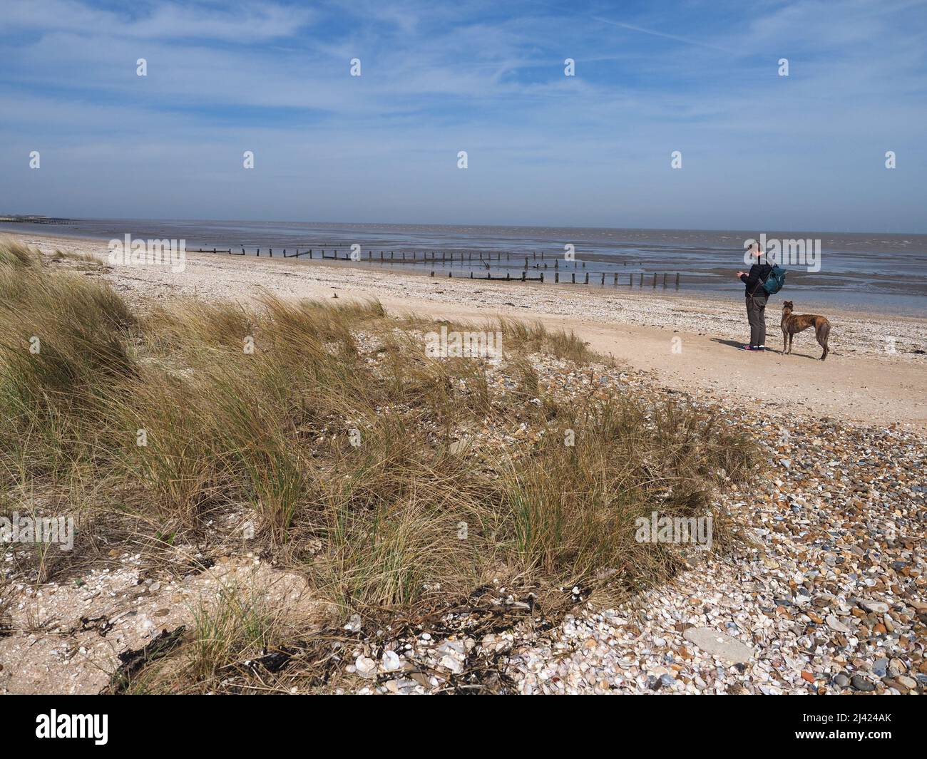 Naturists beach hi-res stock photography and images - Alamy