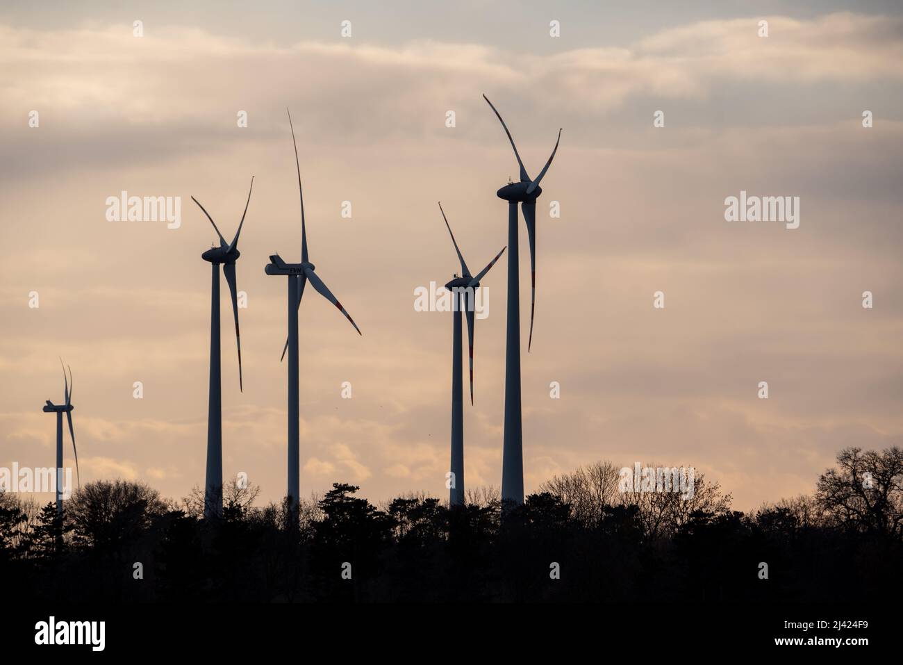 Alternative and ecological energy production in the wind farm Stock ...