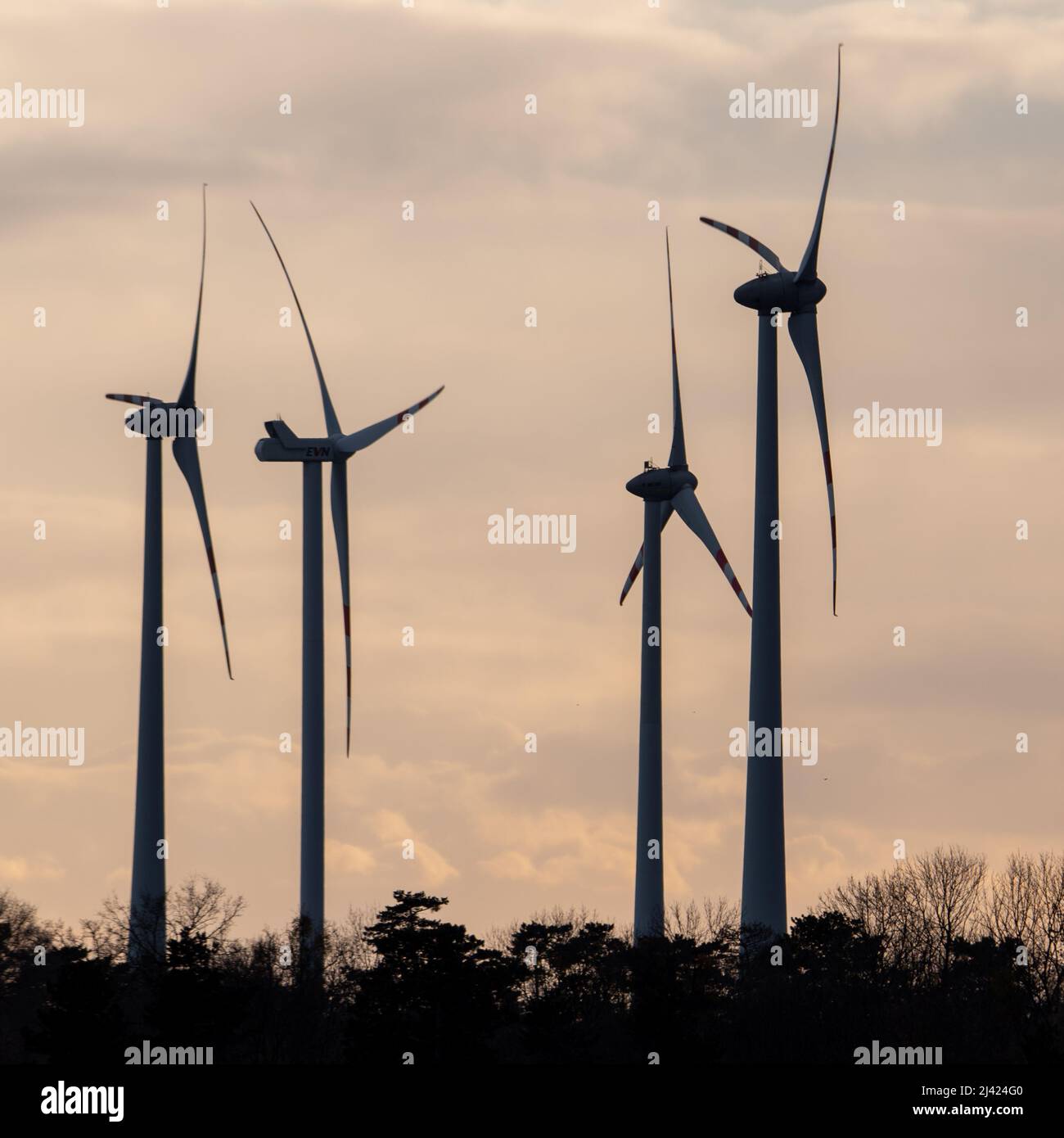 Alternative and ecological energy production in the wind farm Stock ...