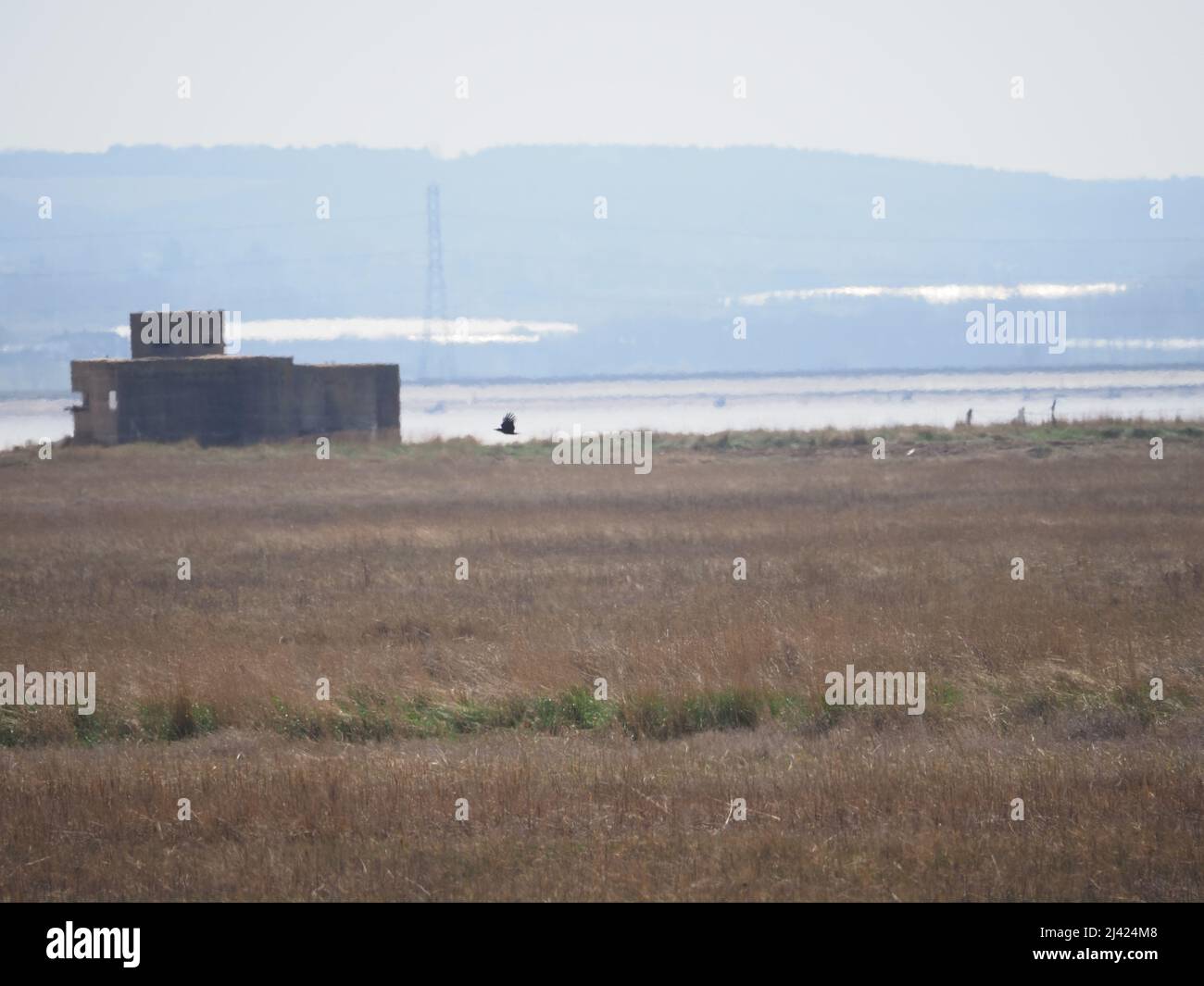 Naturists beach hi-res stock photography and images - Alamy