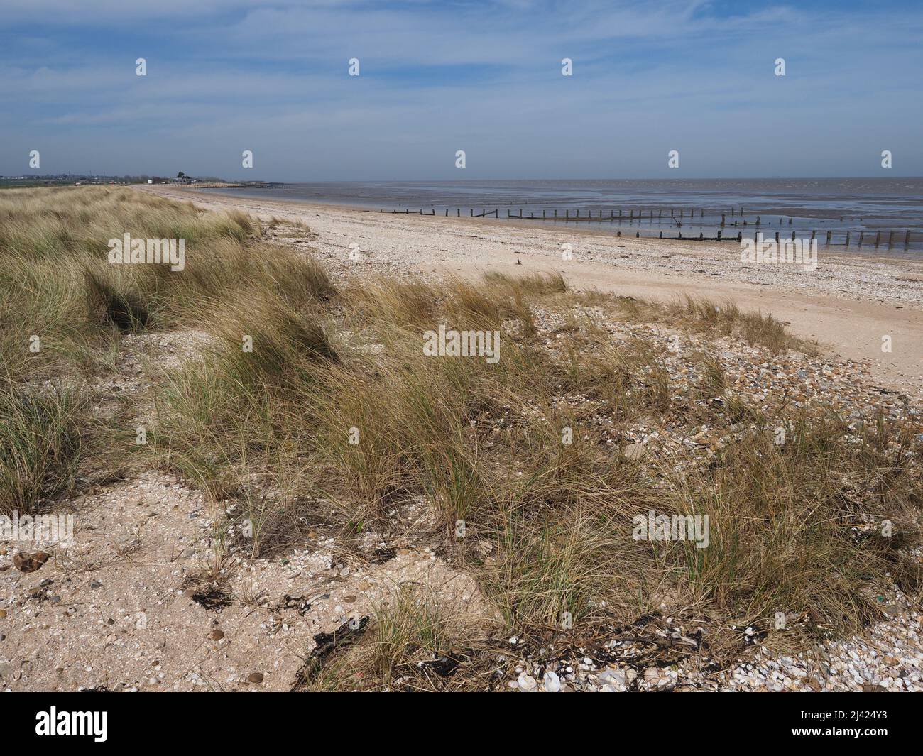 Naturists hi-res stock photography and images - Alamy