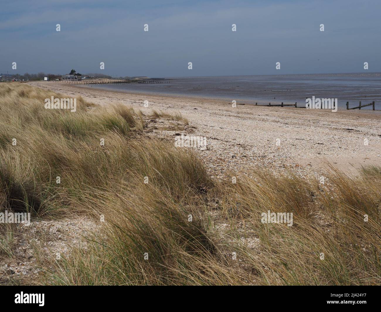 Naturists hi-res stock photography and images - Alamy