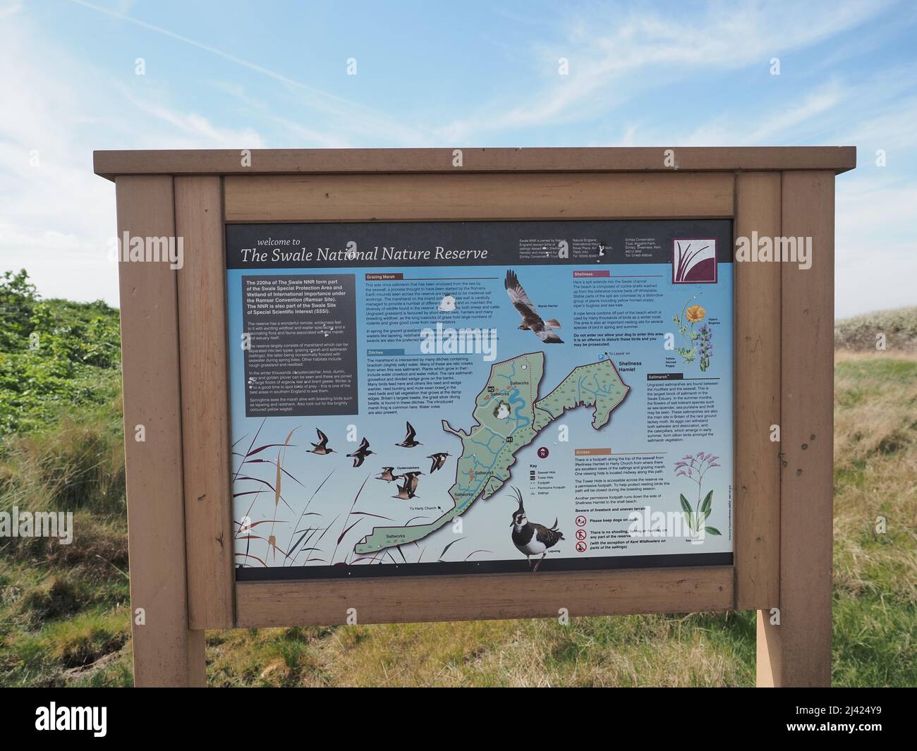 Sheppey swale nature reserve hi-res stock photography and images - Alamy