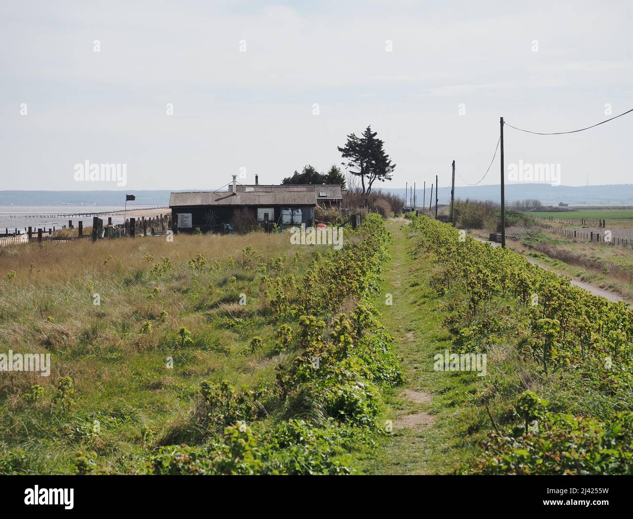 Shellness, Kent, UK. 11th Apr, 2022. Lloyds Pharmacy has rated an ...