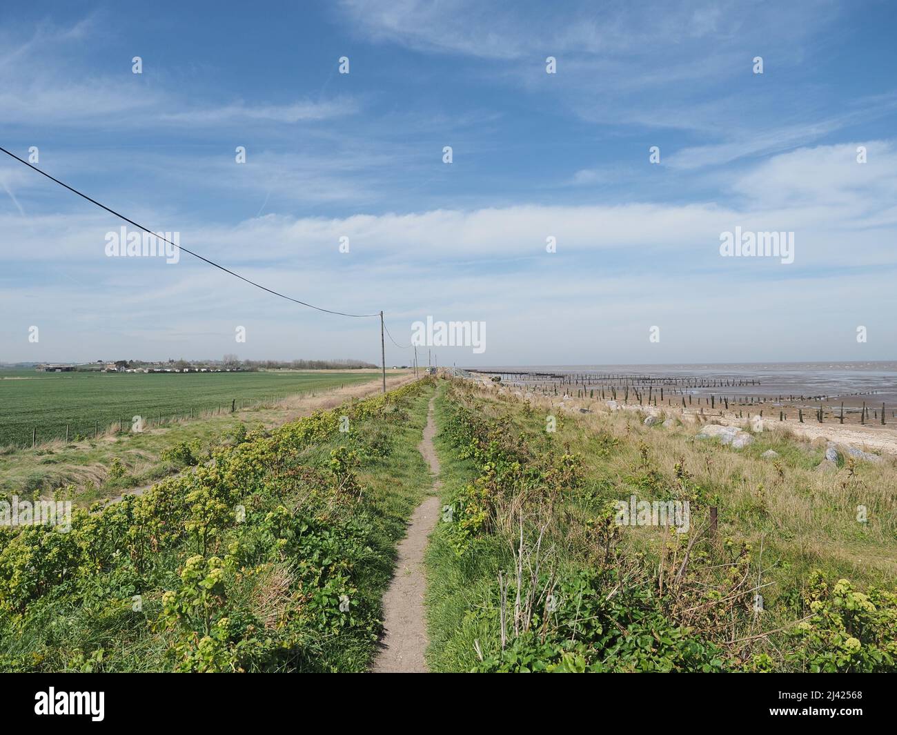 Shellness, Kent, UK. 11th Apr, 2022. Lloyds Pharmacy has rated an ...