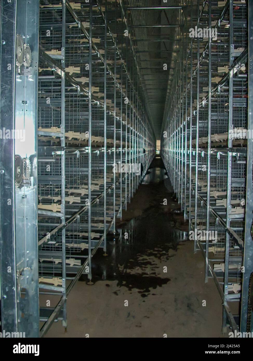 Rows of empty cages from inside an industrial chicken egg layer ...