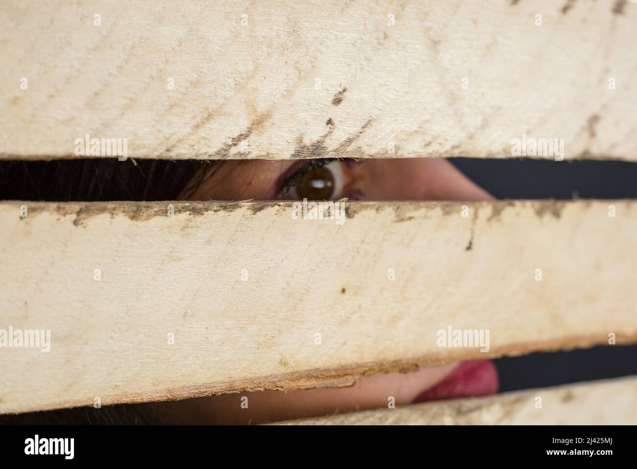 A human eye peeping through the crack of old wooden fence close-up ...