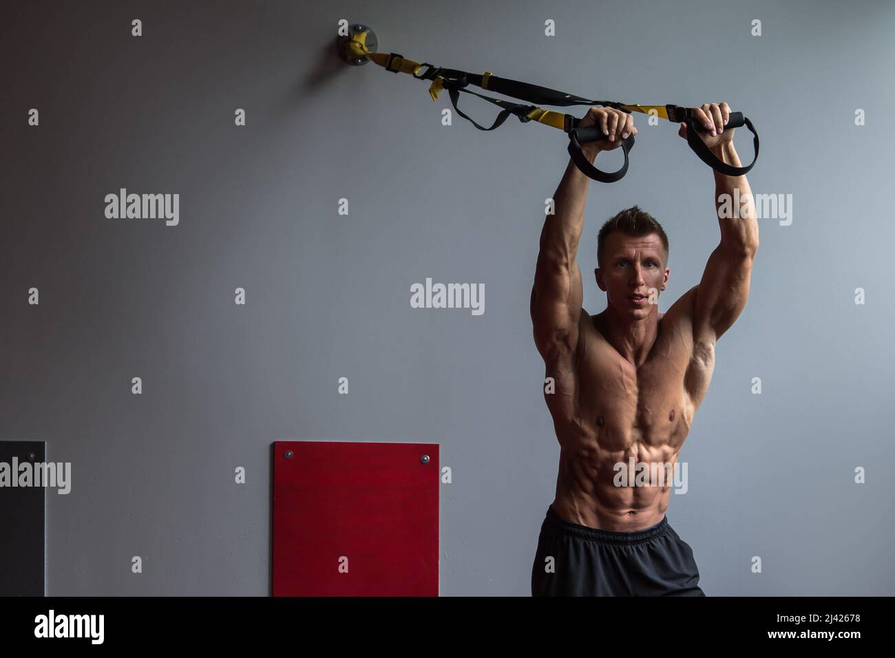 Muscular man during workout in the gym Stock Photo - Alamy