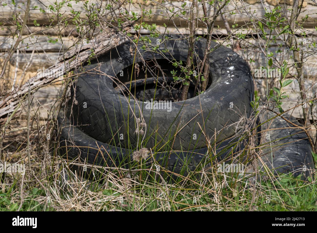 Old used rubber car tire discarded on raw forest ecosystem,environmental pollution Stock Photo ...
