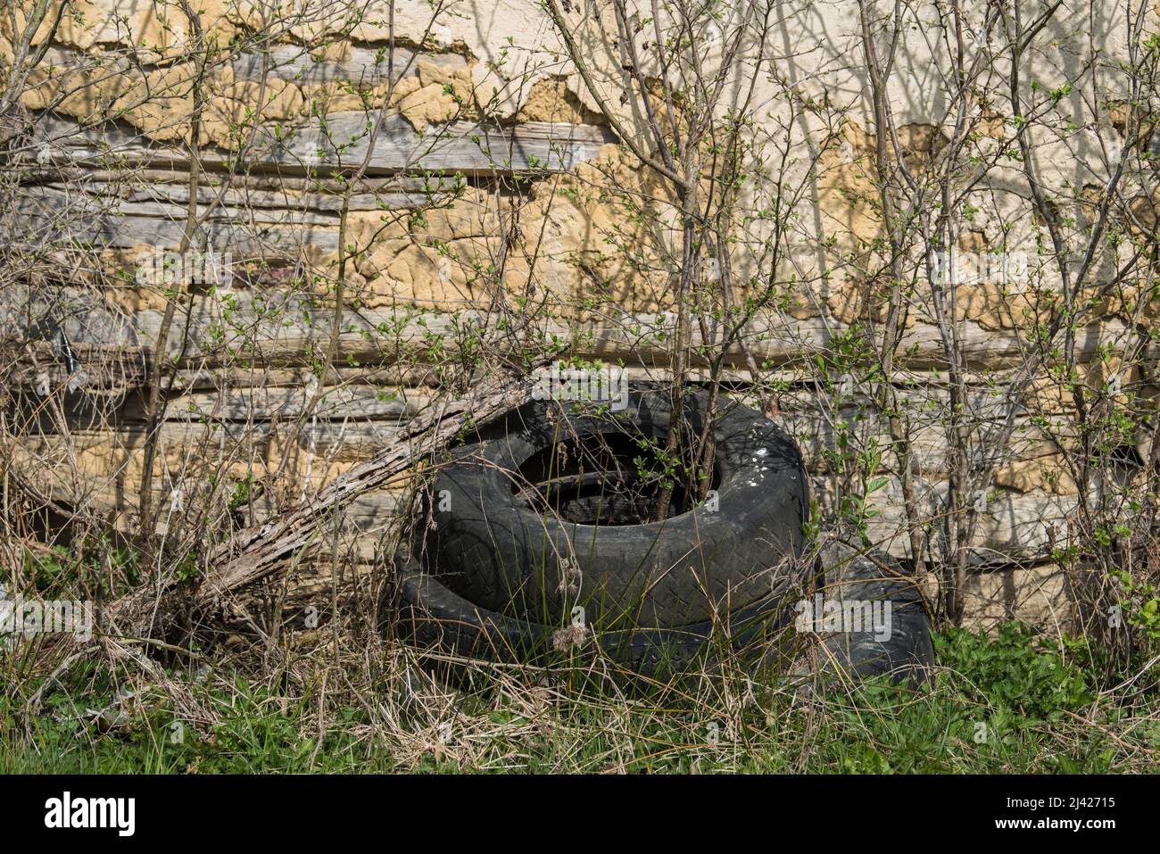 Plastic pollution woodland hi-res stock photography and images - Alamy