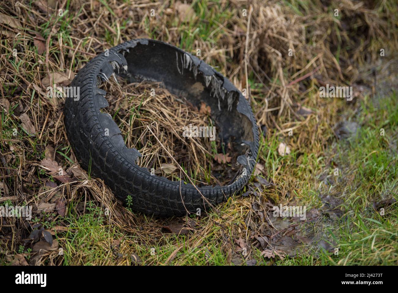 Old used rubber car tire discarded on raw forest ecosystem,environmental pollution Stock Photo ...
