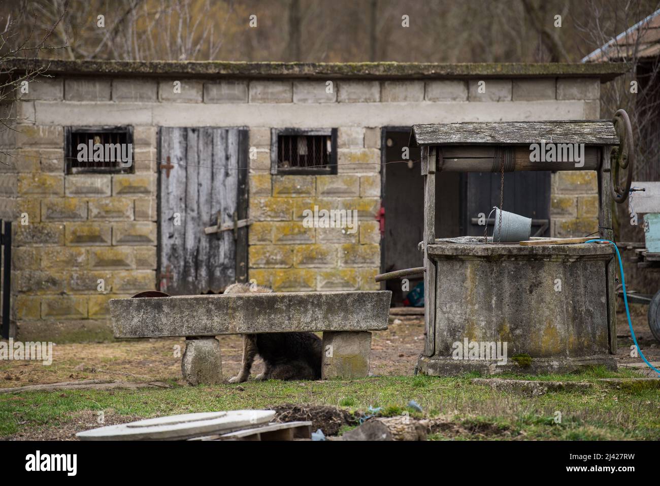 An old well at the farm. Well for drawing water located in the ...