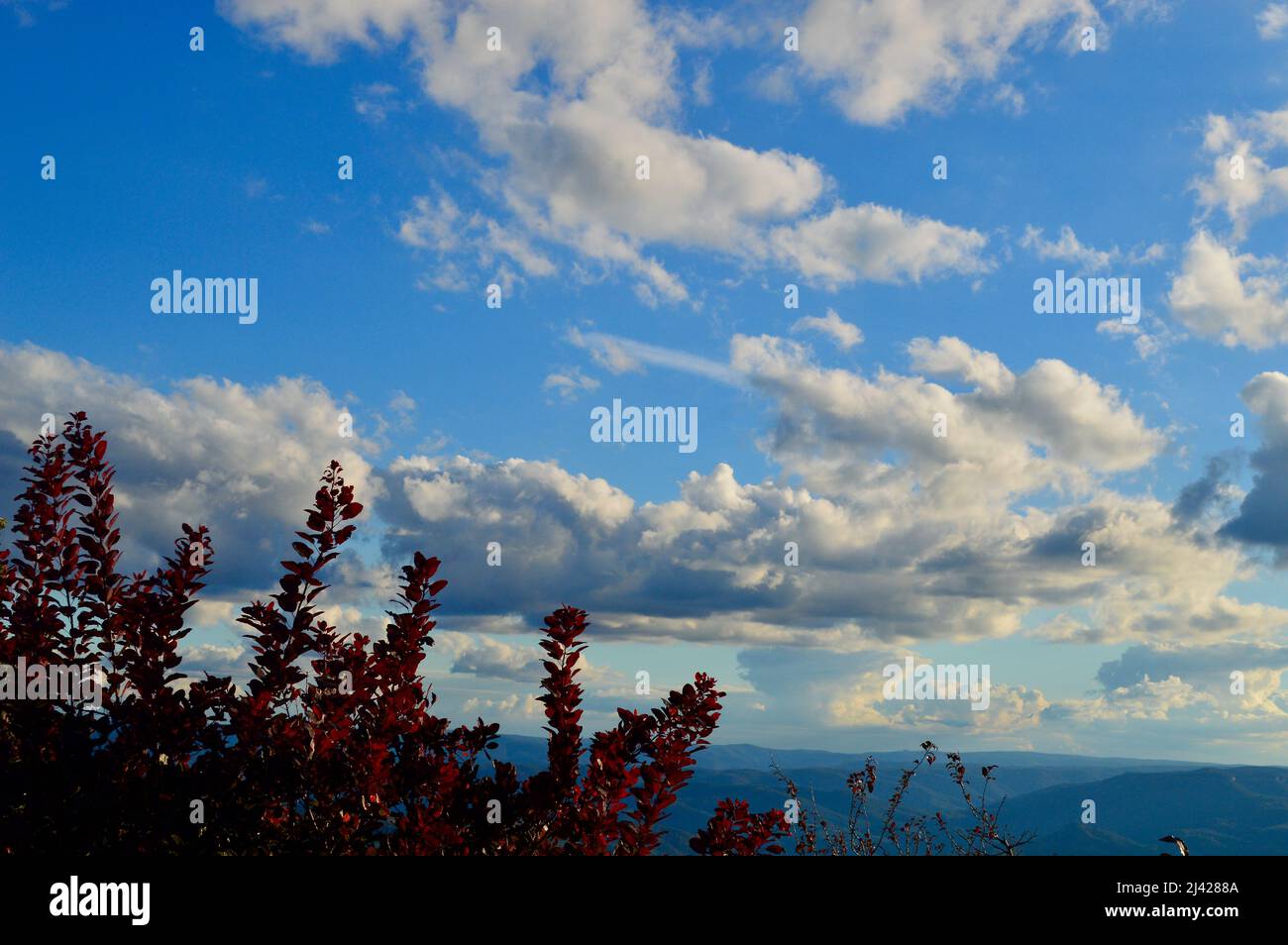 A view at Medlow Bath in the Blue Mountains of Australia Stock Photo ...