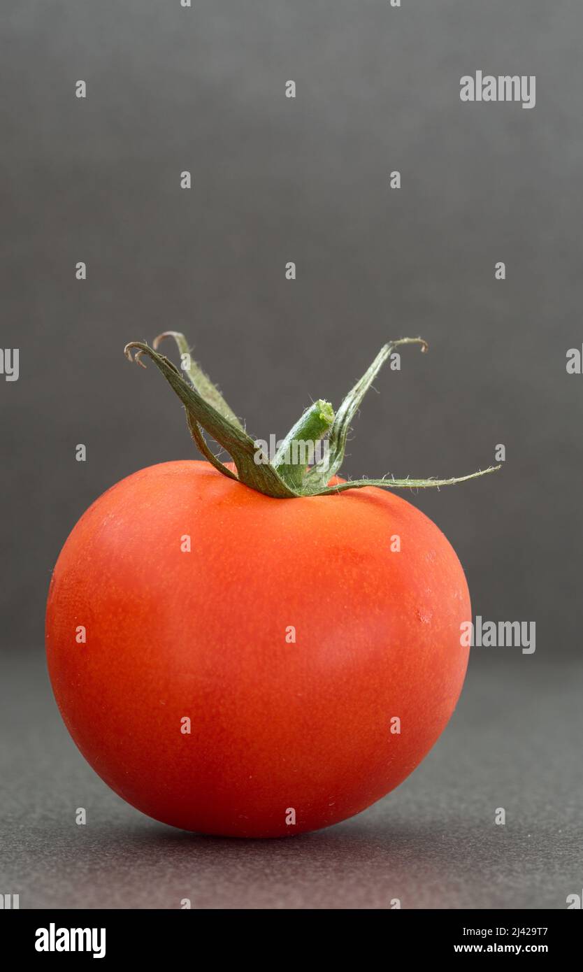 close up of single tomato isolated from dark background Stock Photo - Alamy