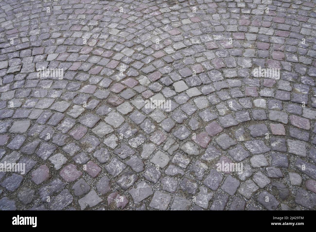 Cobblestone pavement as background with copy space. The stones are ...
