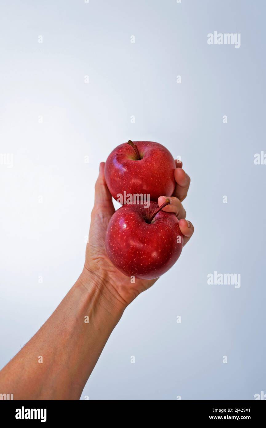 Hand holding apples hi-res stock photography and images - Alamy