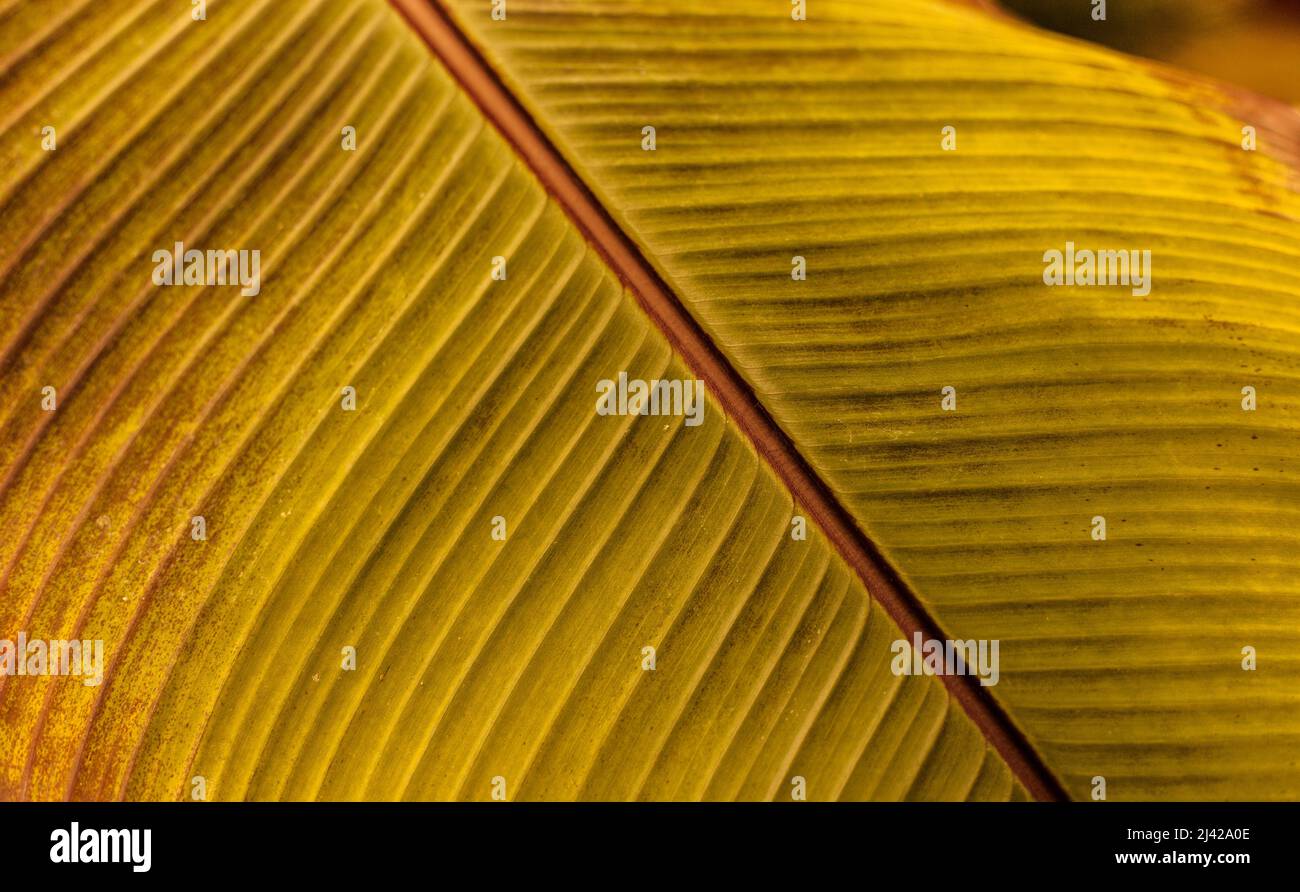 Yello lines hi-res stock photography and images - Alamy