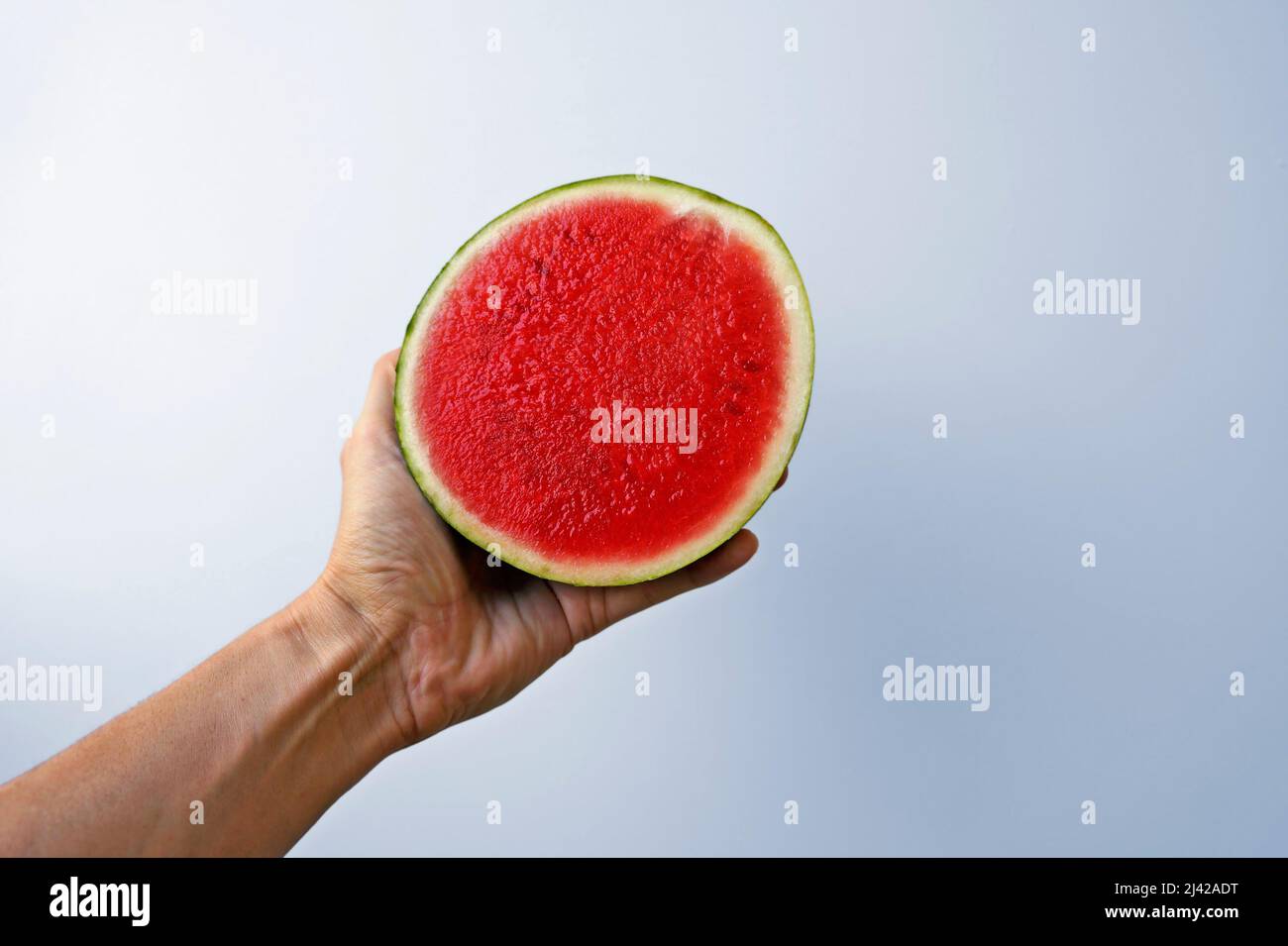 Small seedless watermelon on hand in a bright background Stock Photo ...