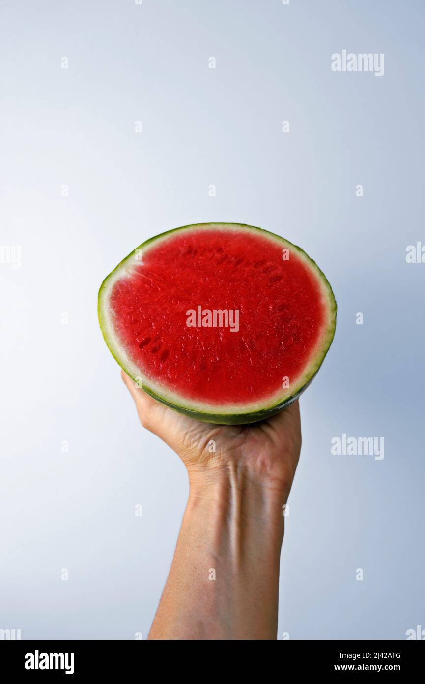Small seedless watermelon on hand in a bright background Stock Photo ...