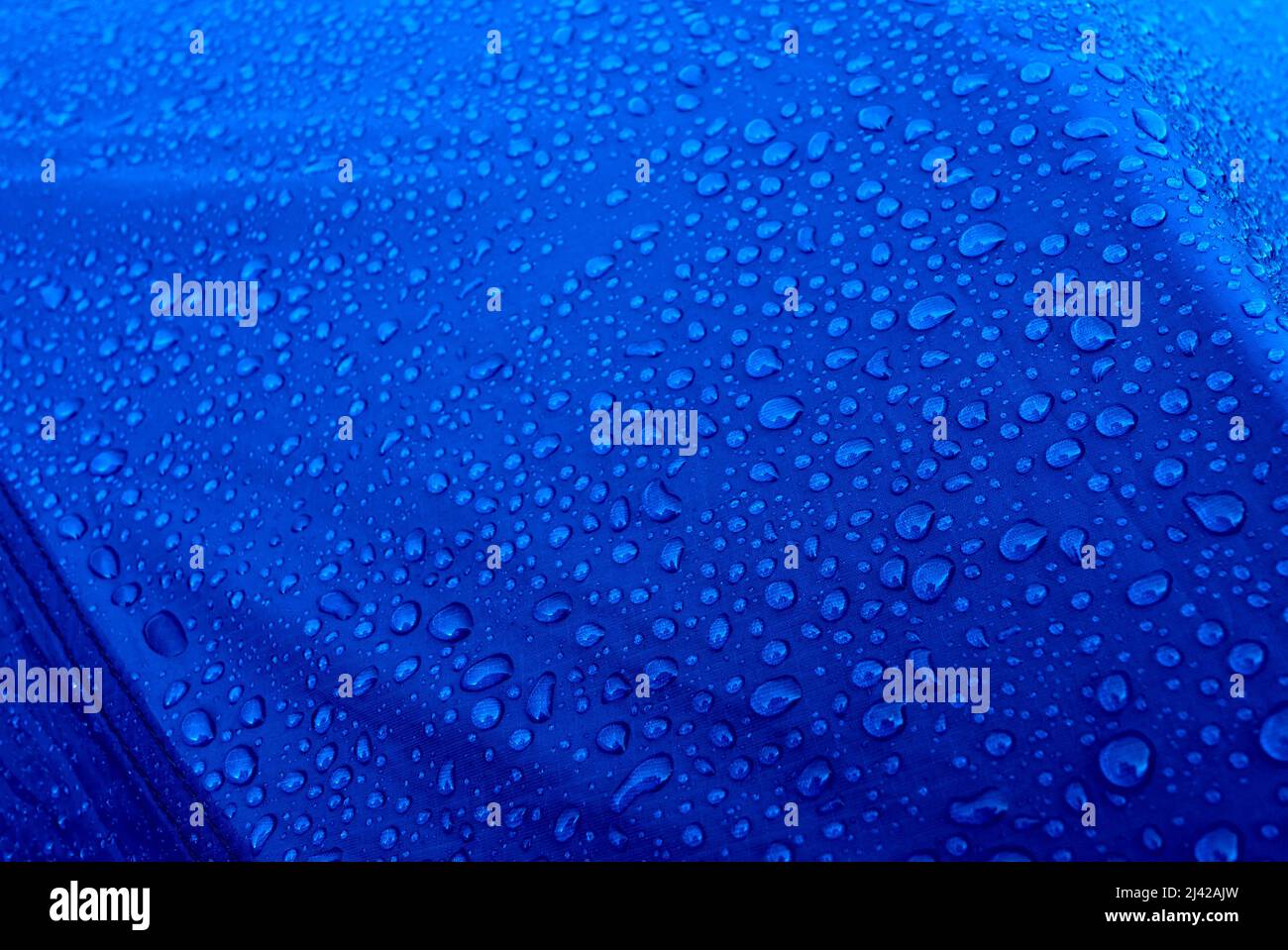 Morning Dew On Tent