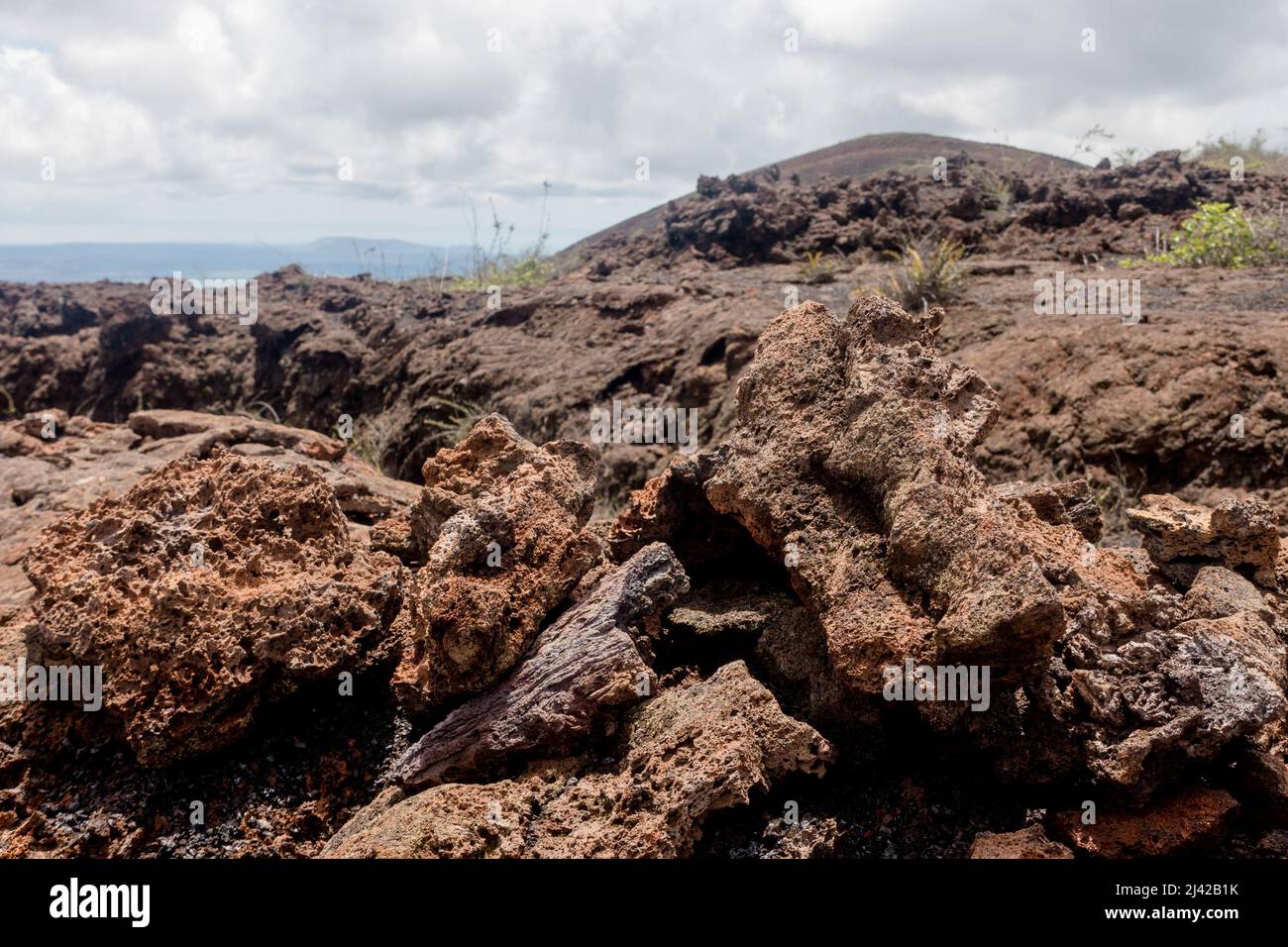 People hike along Sierra Negra, a large shield volcano at the ...