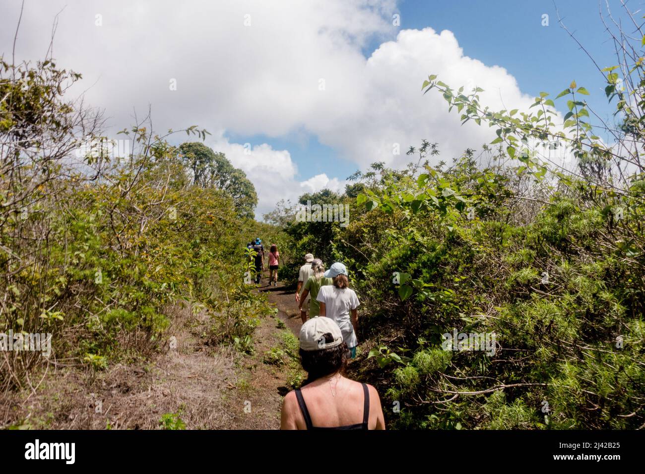 People hike along Sierra Negra, a large shield volcano at the ...