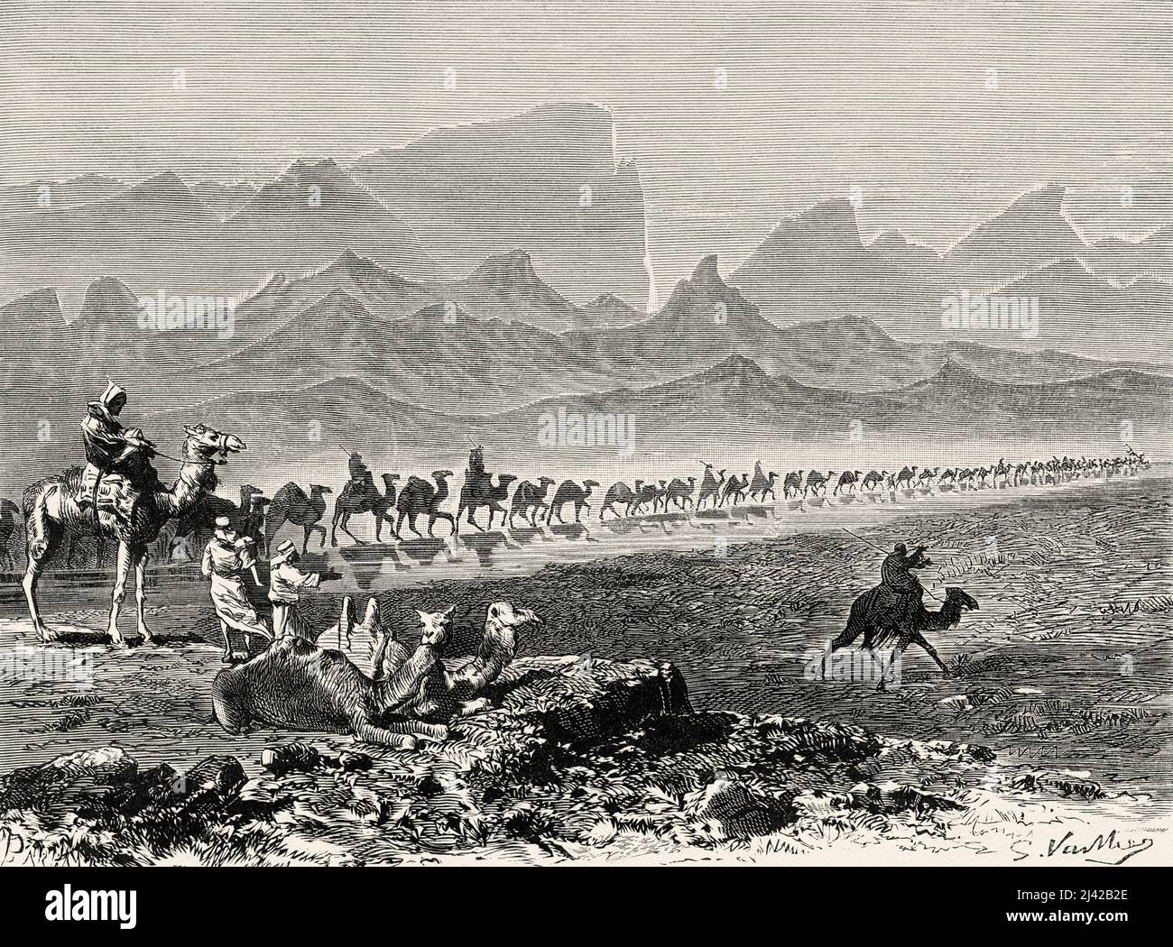 Mirage effect in the desert. Caravan of pilgrims on camels on their way ...
