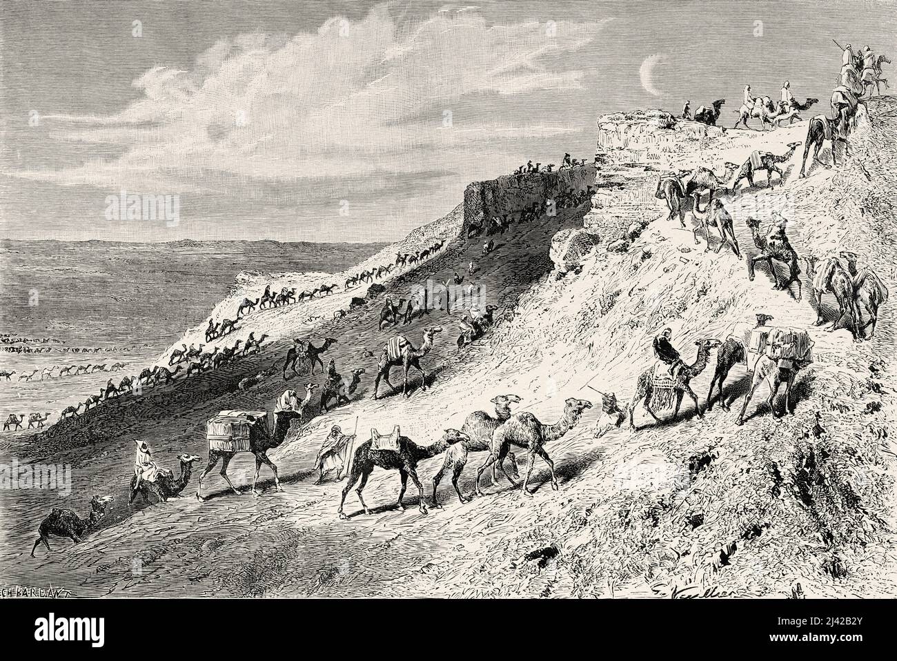 Caravan of pilgrims on camels on their way to Nedjed, Saudi Arabia ...