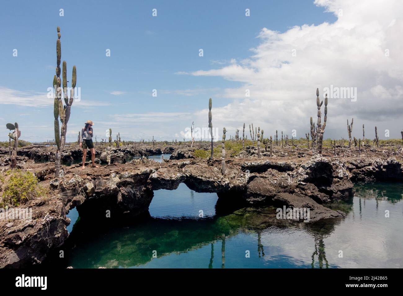 Tourists explore Las Tintoreras, a chain of small islets full of cove ...