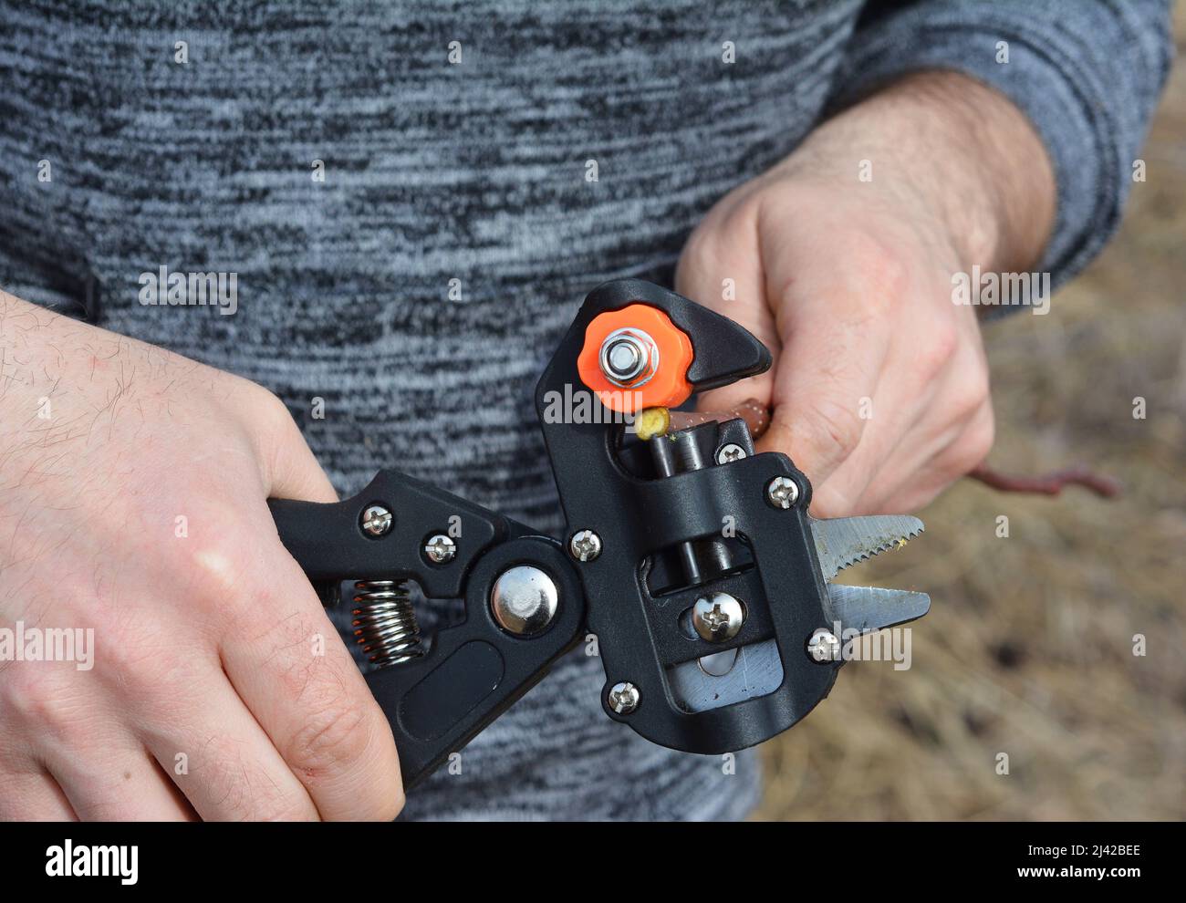 Professional grafting tool hi-res stock photography and images - Alamy