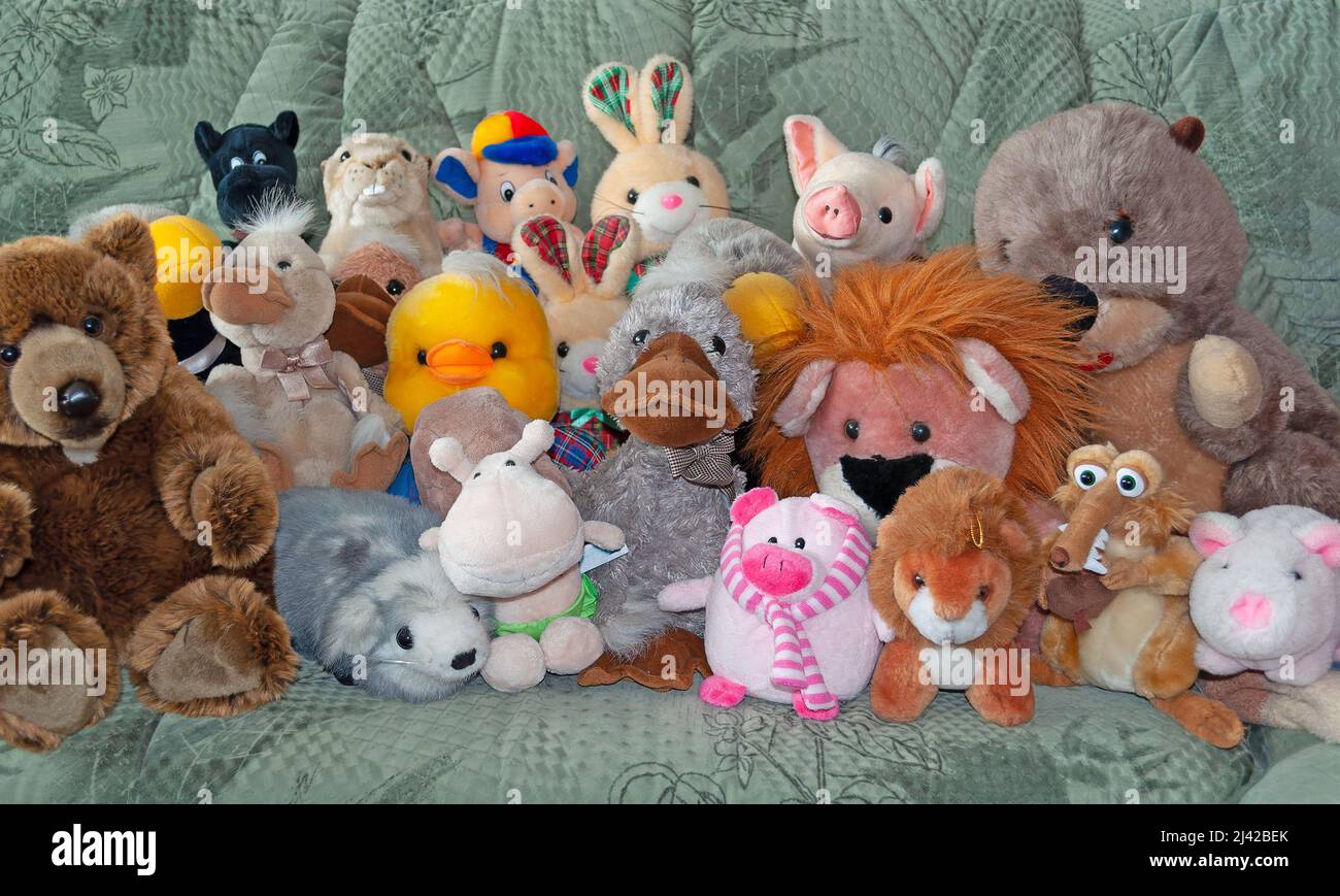 Many stuffed animals hi-res stock photography and images - Alamy