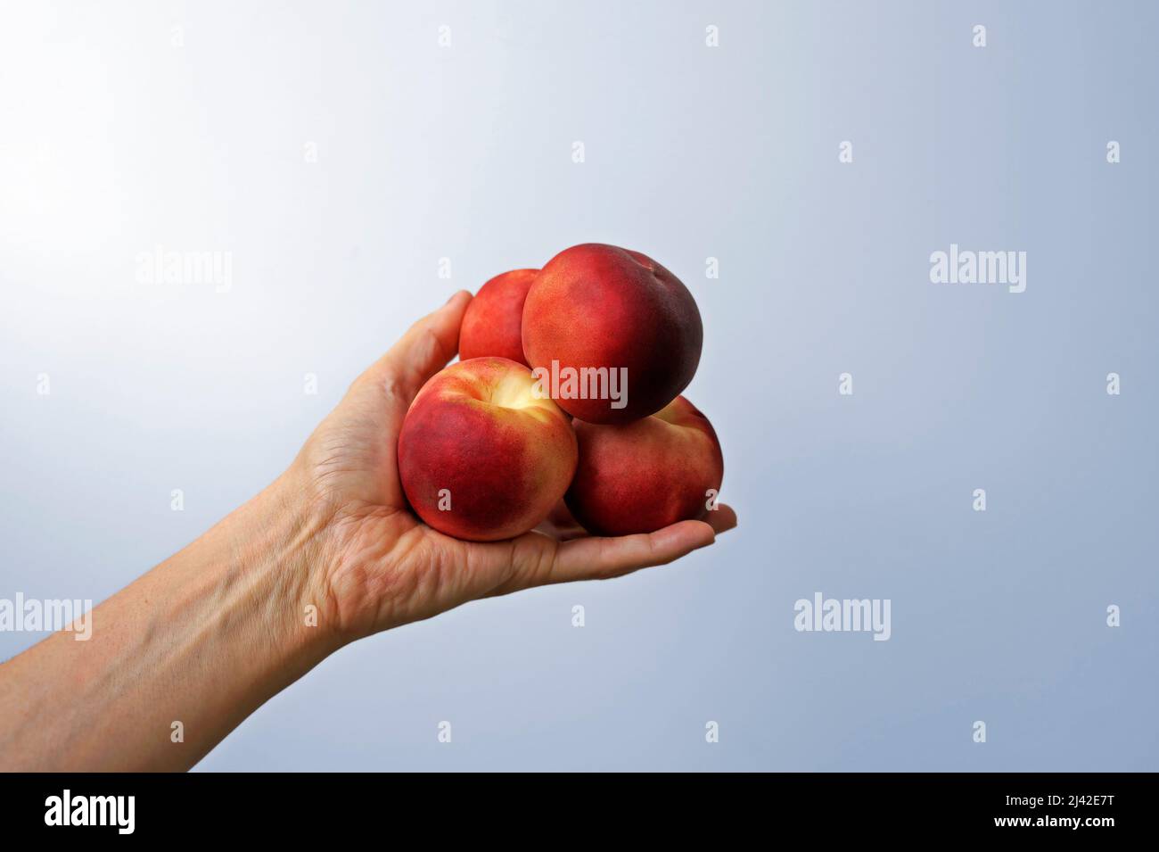Hand holding peach hi-res stock photography and images - Alamy